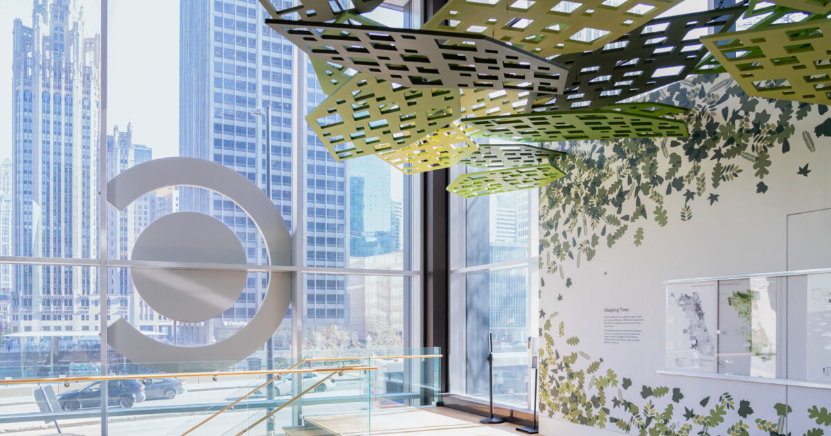 ReCovered: Chicago's Urban Tree Canopy | Ross Barney Architects